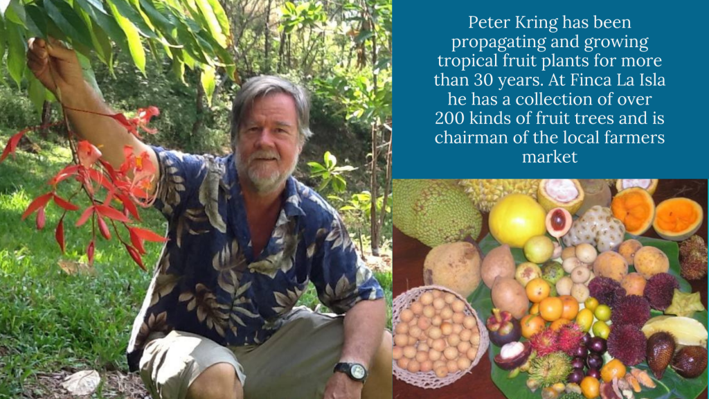 #005 Peter Kring of Finca La Isla: Fruit Forest Maintenance